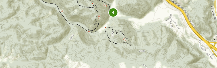 Best Trails in Camp Creek State Park - West Virginia | AllTrails