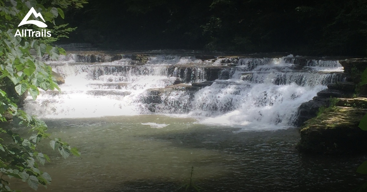 Best Trails in Camp Creek State Park - West Virginia | AllTrails