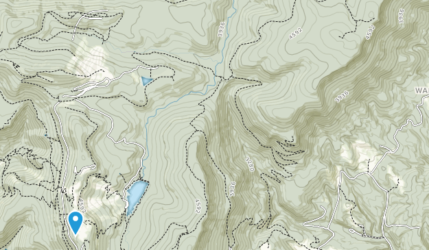 Best Trails in Cass Scenic Railroad State Park - West Virginia | AllTrails