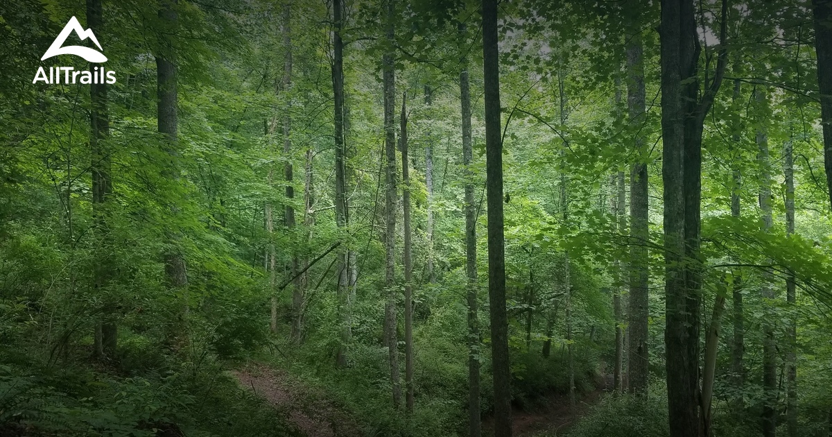 Best Trails in Cedar Creek State Park - West Virginia | AllTrails