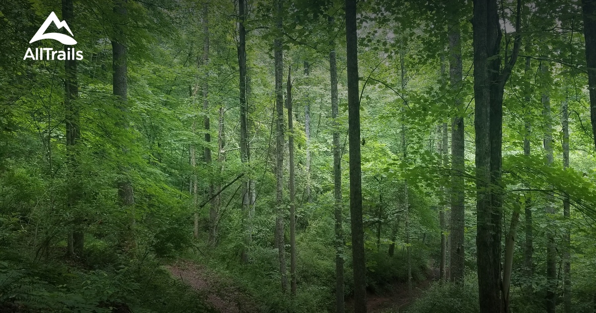 Best hikes and trails in Cedar Creek State Park | AllTrails