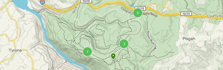 Best 10 Hikes and Trails in Coopers Rock State Forest | AllTrails