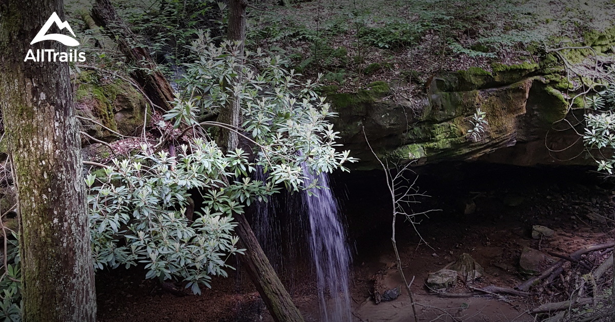 Best Trails in Holly River State Park - West Virginia | AllTrails