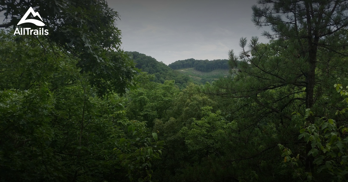 Best Trails in Kanawha State Forest - West Virginia | AllTrails