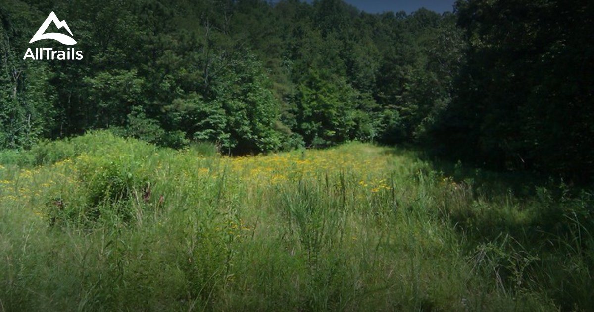 Best Trails in Kanawha State Forest - West Virginia | AllTrails