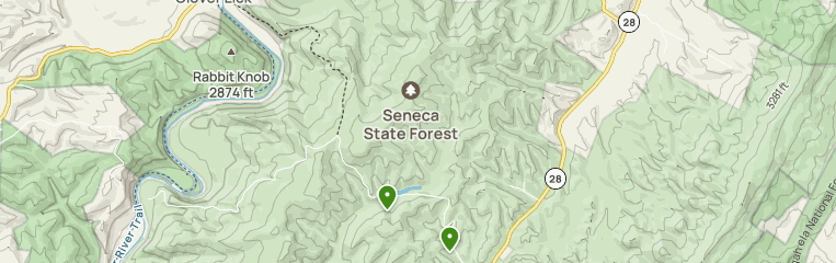 Best Hikes and Trails in Seneca State Forest | AllTrails