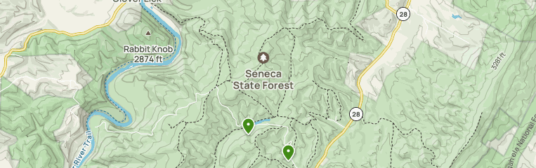 Best Hikes and Trails in Seneca State Forest | AllTrails