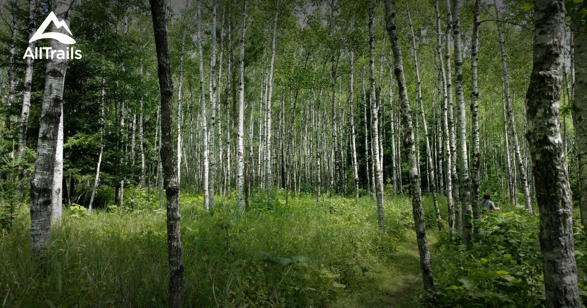 Best Trails in Brule River State Forest - Wisconsin | AllTrails
