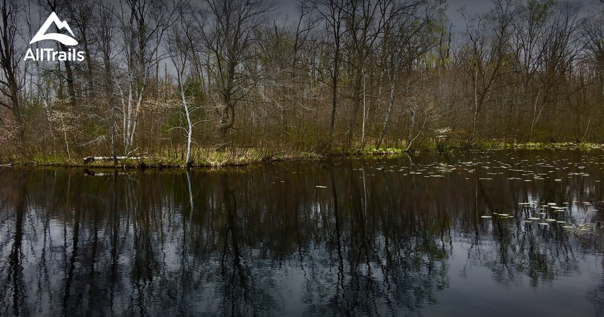 Best beach trails in Governor Thompson State Park | AllTrails