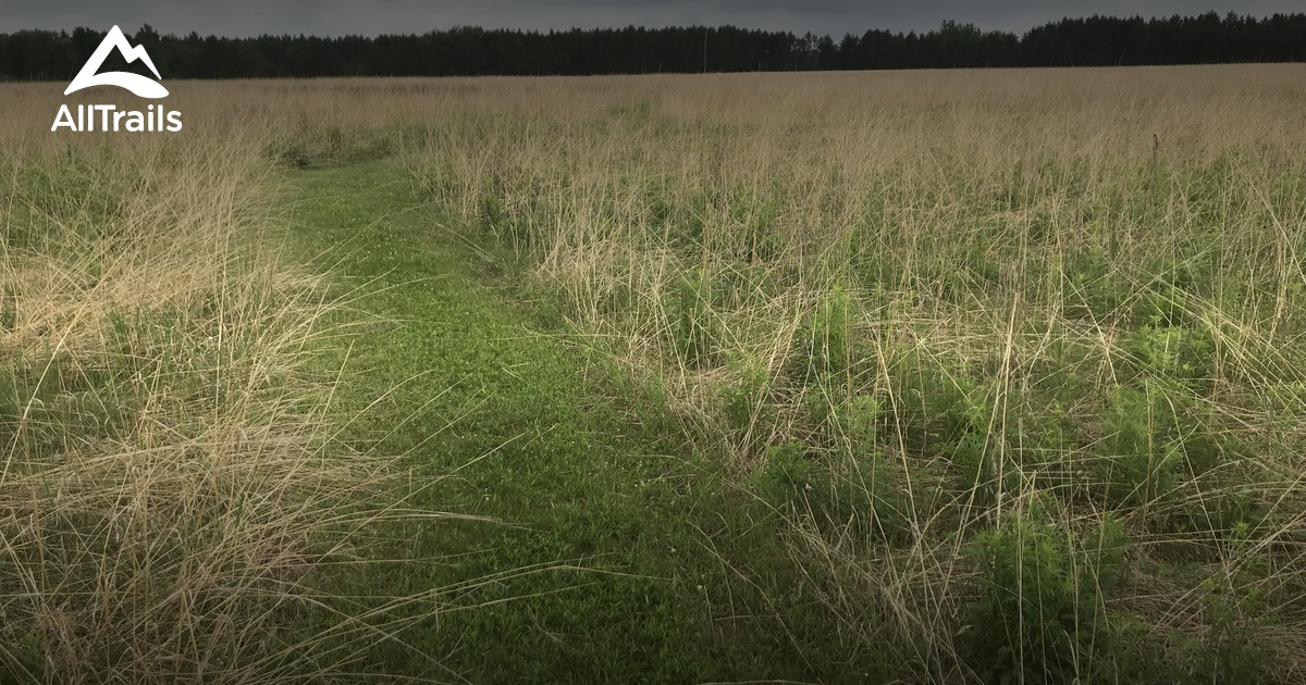 Lake Wissota State Park: de beste routes om te wandelen | AllTrails