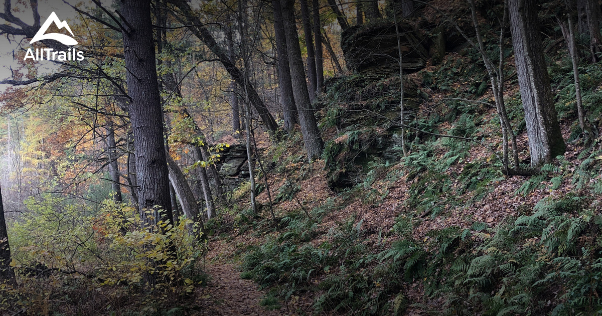 Best hikes and trails in Rocky Arbor State Park | AllTrails