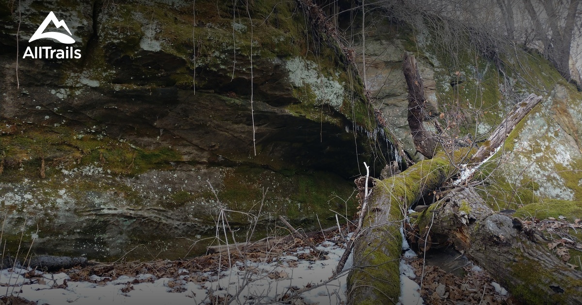 Best Trails in Yellowstone Lake State Park - Wisconsin | AllTrails