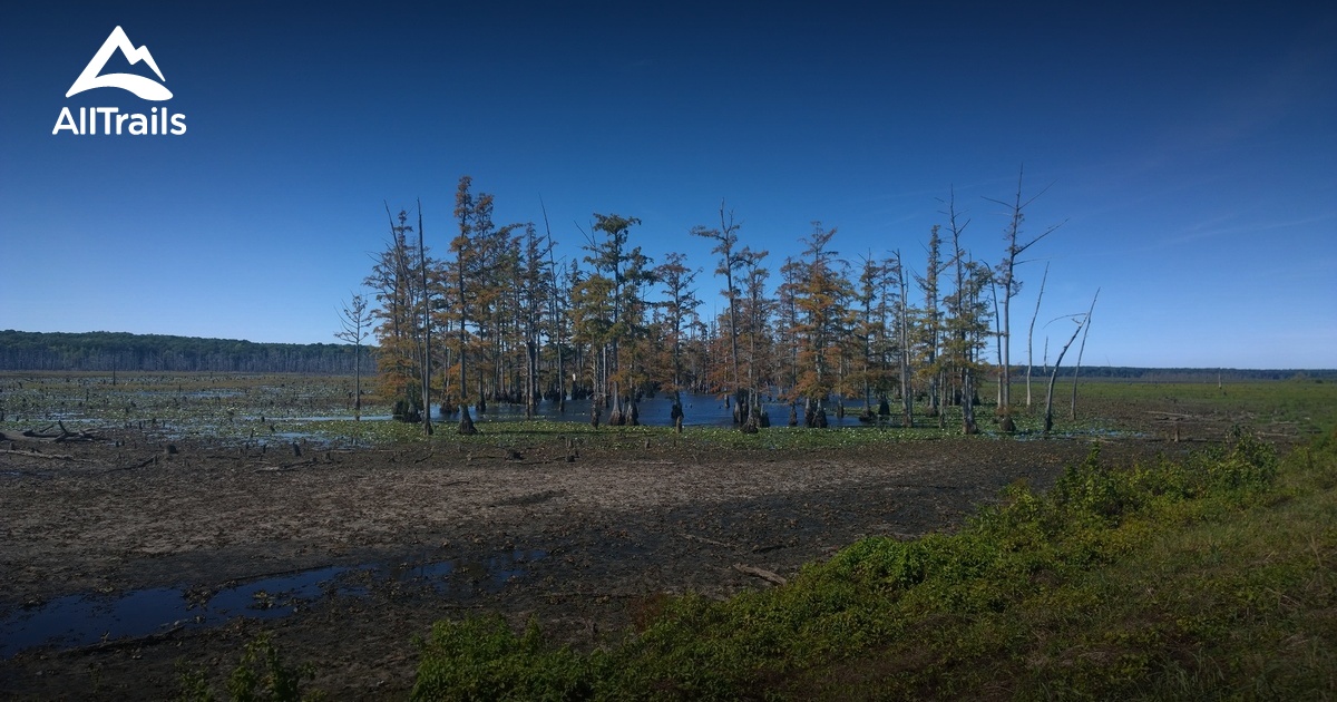 Los mejores senderos de MTB en Cane Creek State Park | AllTrails