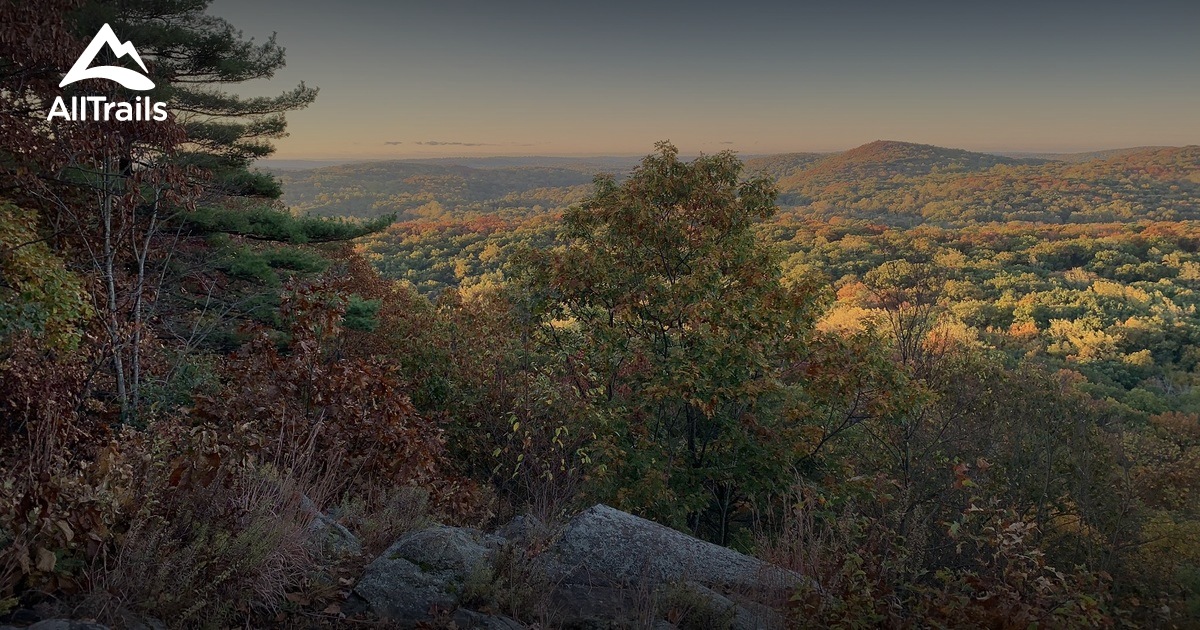 Bennetts Pond State Park : les meilleurs itinéraires avec fleurs ...