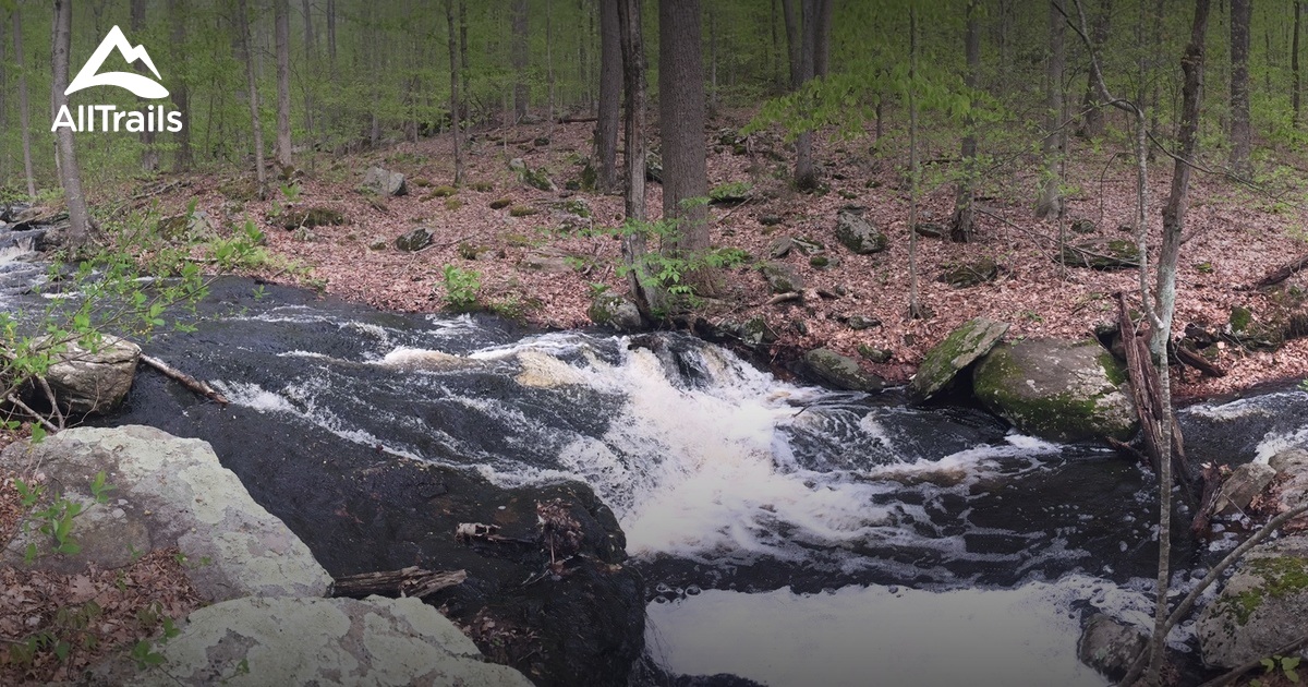 Best Trails in Day Pond State Park - Connecticut | AllTrails