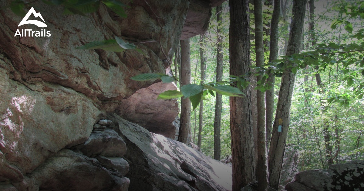 Best Trails in Cockaponset State Forest - Connecticut | AllTrails