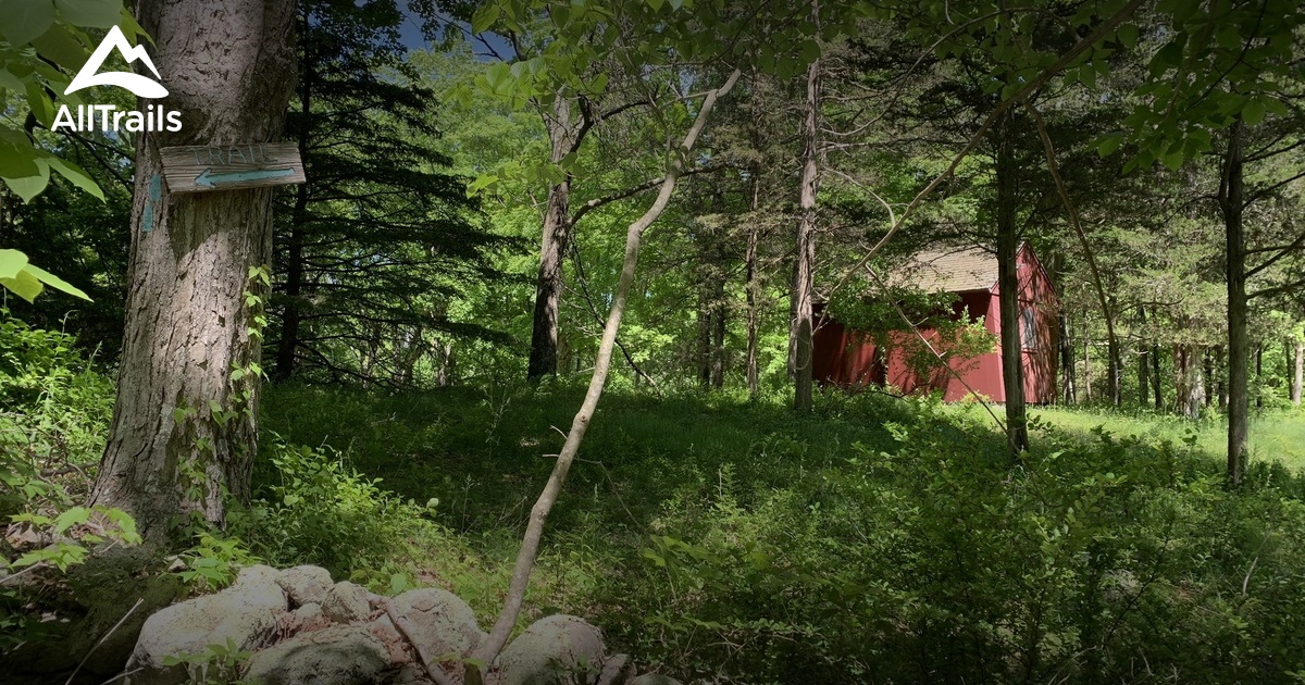 Best Trails in Cockaponset State Forest - Connecticut | AllTrails