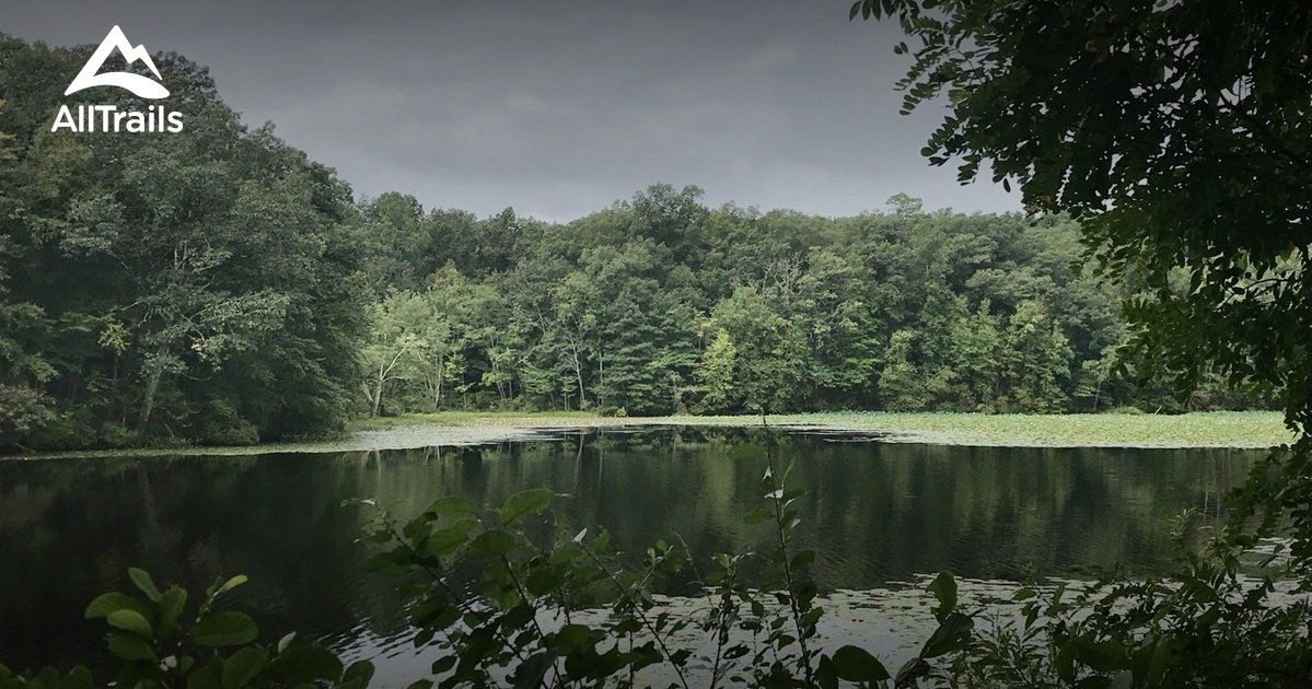 Best hikes and trails in Putnam Memorial State Park | AllTrails