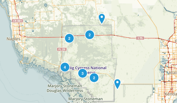 Best Trails in Big Cypress National Preserve | AllTrails