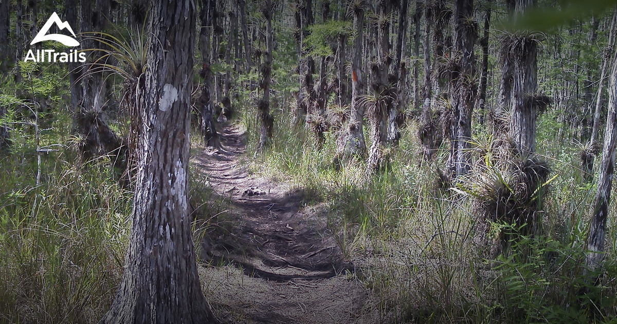 Best Trails in Big Cypress National Preserve - Florida | AllTrails