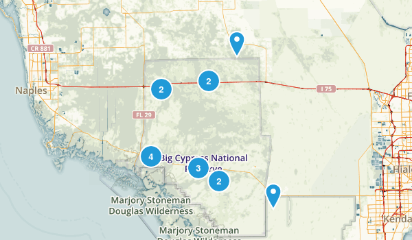 Best Trails in Big Cypress National Preserve - Florida | AllTrails