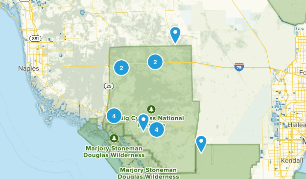 Best Trails in Big Cypress National Preserve - Florida | AllTrails
