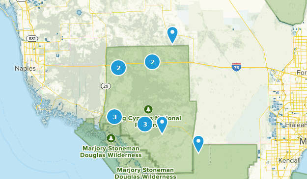 Best Trails in Big Cypress National Preserve - Florida | AllTrails