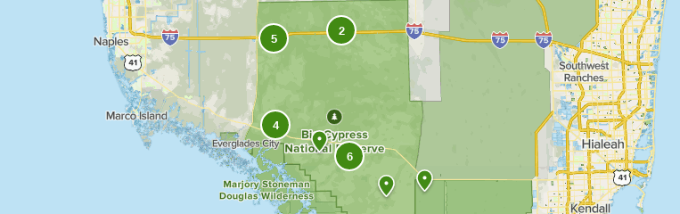 Best Trails in Big Cypress National Preserve - Florida | AllTrails