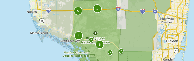 Best Trails in Big Cypress National Preserve - Florida | AllTrails