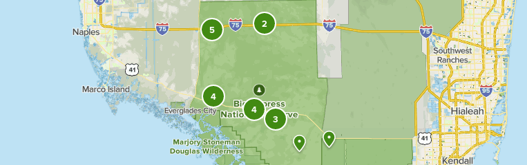 Best trails in Big Cypress National Preserve, Florida | AllTrails