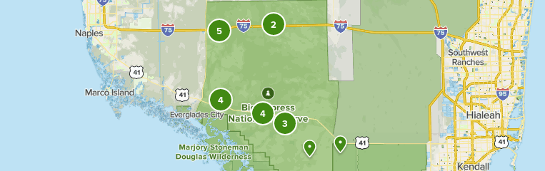 Best Trails in Big Cypress National Preserve | AllTrails