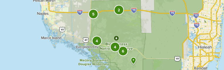 Best 10 Trails in Big Cypress National Preserve | AllTrails
