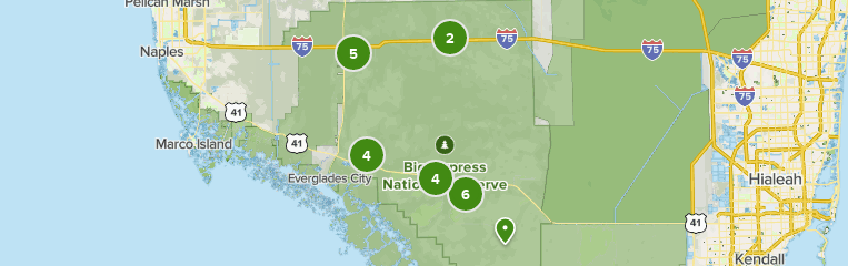 Best 10 Trails in Big Cypress National Preserve | AllTrails