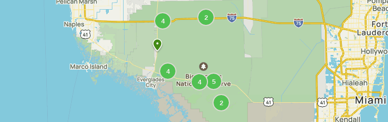 Best 10 Hikes and Trails in Big Cypress National Preserve | AllTrails