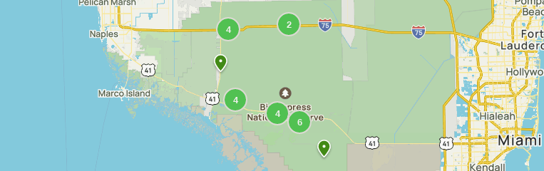 Best 10 Hikes and Trails in Big Cypress National Preserve | AllTrails