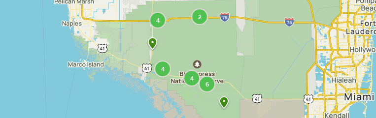 10 Best Hikes and Trails in Big Cypress National Preserve | AllTrails