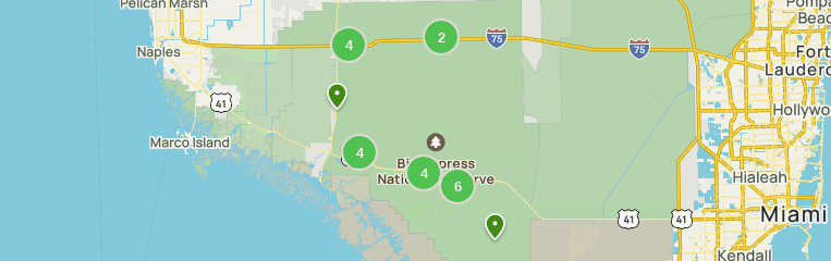 10 Best Hikes and Trails in Big Cypress National Preserve | AllTrails