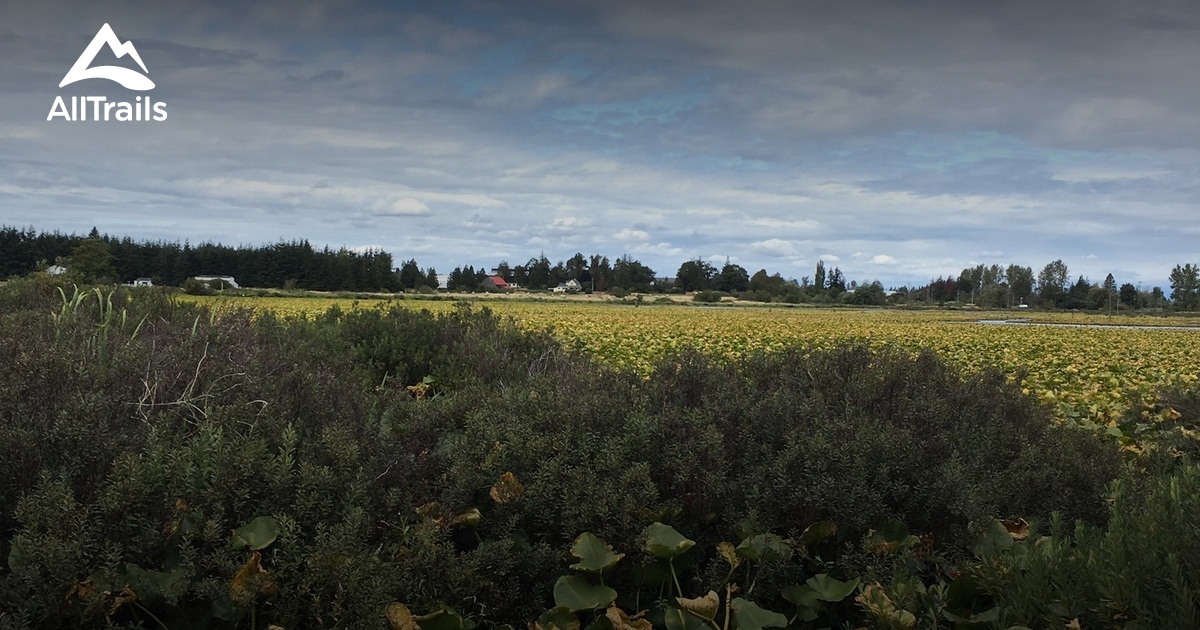 Best hikes and trails in Birch Bay State Park | AllTrails