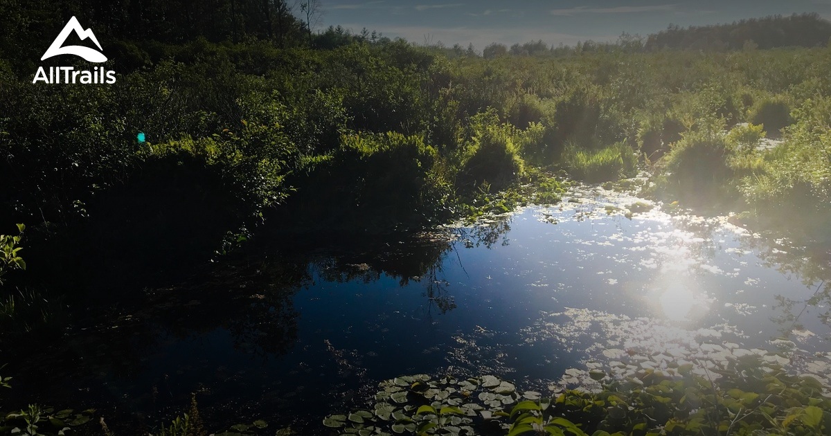 Best Trails in Mitchell State Park - Michigan | AllTrails