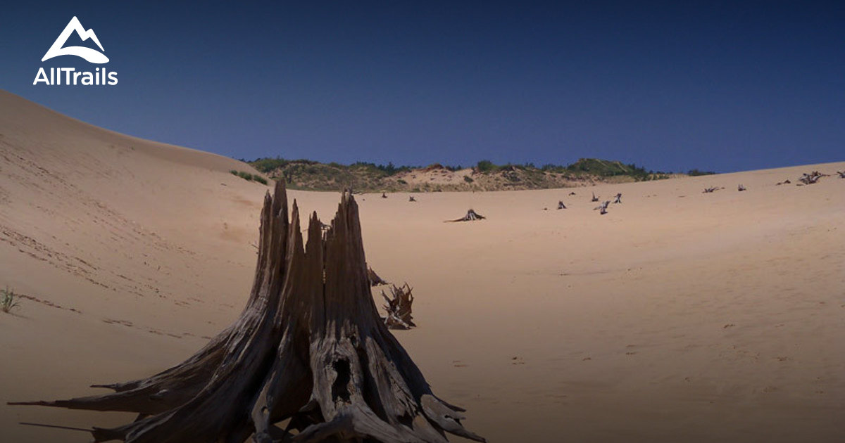 Best Trails in Silver Lake State Park - Michigan | AllTrails