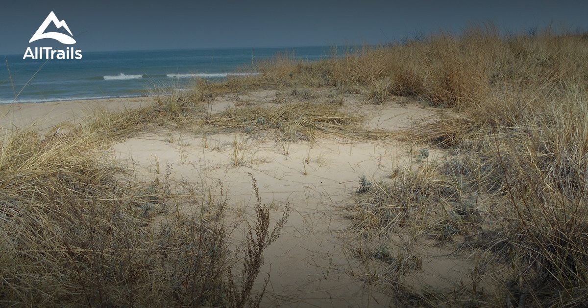 Best Trails in Warren Dunes State Park - Michigan | 89 Photos & 55 ...