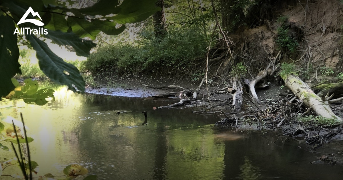 Best hikes and trails in Warren Woods State Park | AllTrails