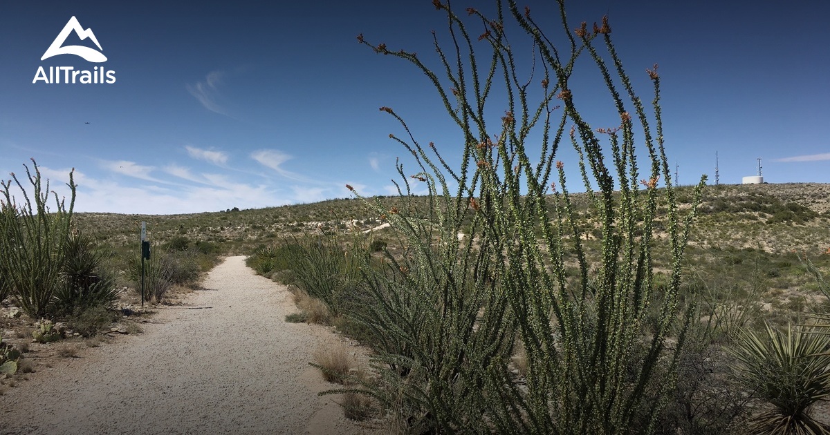 Best hikes and trails in Living Desert Zoo & Gardens State Park | AllTrails