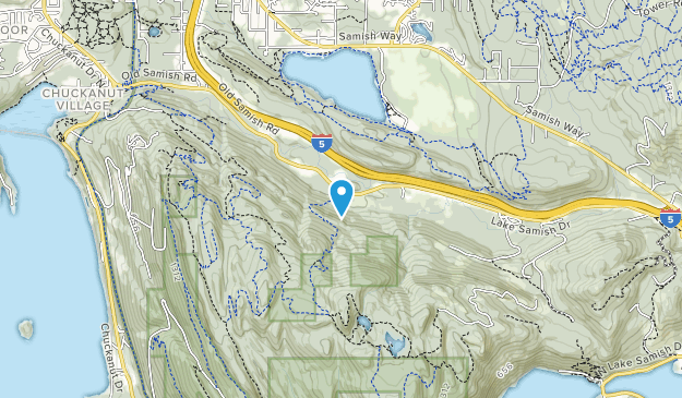 Best Trails in Lake Padden Park - Washington | AllTrails
