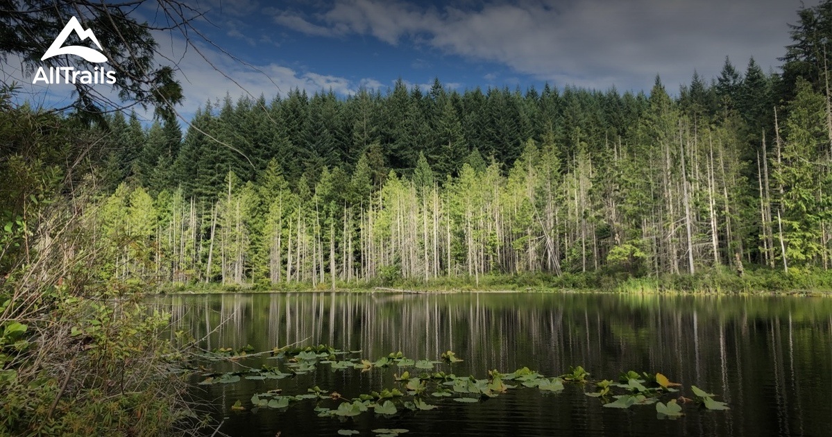 Best hikes and trails in Lake Padden Park | AllTrails