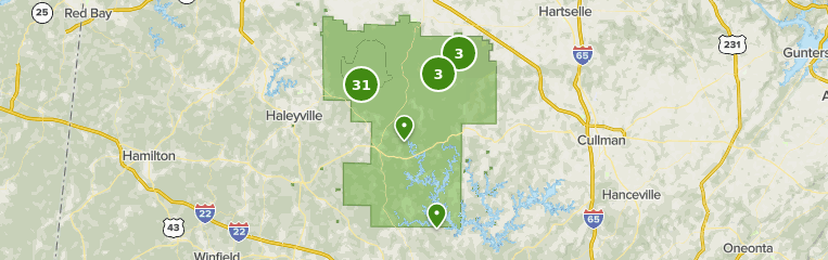 Best Trails in William B Bankhead National Forest - Alabama | AllTrails