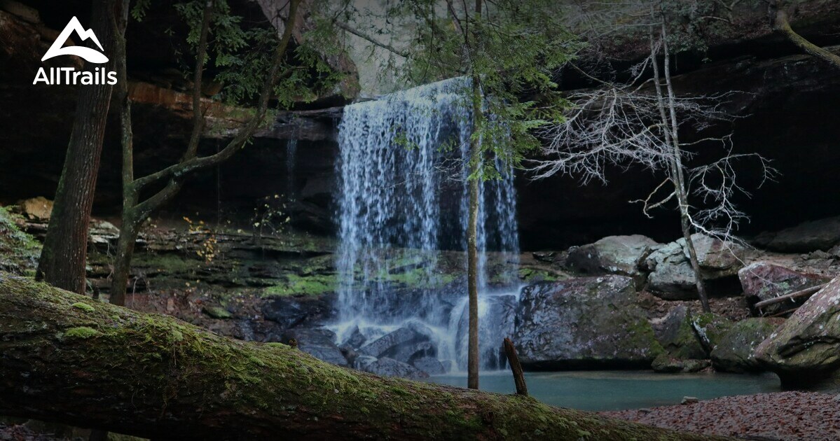 Best Trails in William B Bankhead National Forest - Alabama | AllTrails