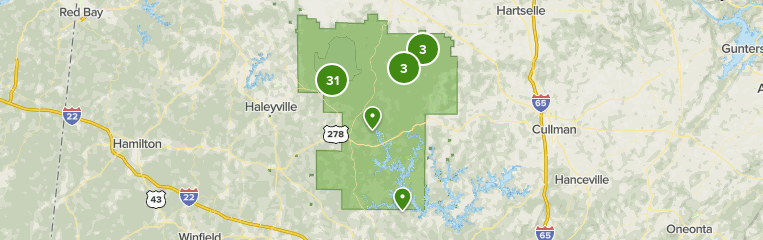 Best trails in William B Bankhead National Forest, Alabama | AllTrails