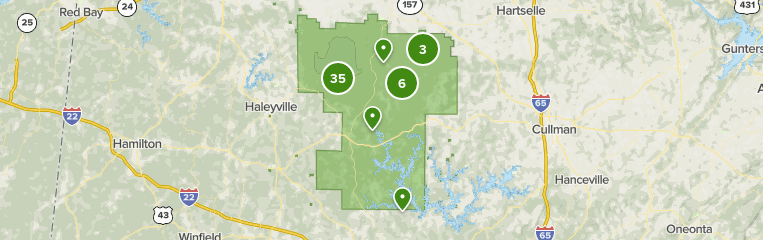 Best trails in William B Bankhead National Forest, Alabama | AllTrails