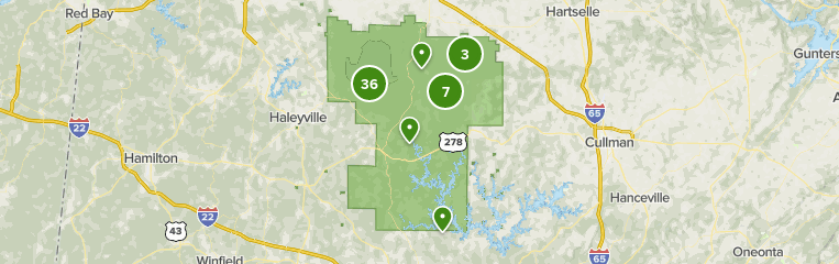 Best trails in William B Bankhead National Forest, Alabama | AllTrails